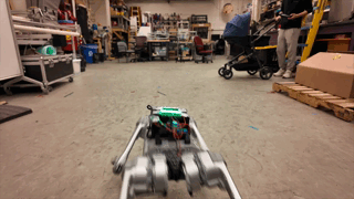 Agile But Safe: Learning Collision-Free High-Speed Legged Locomotion